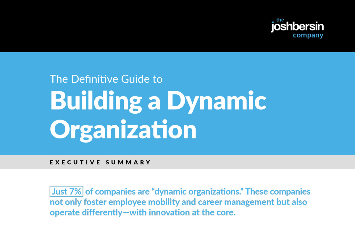 Building a Dynamic Organization - Big Bear Partners